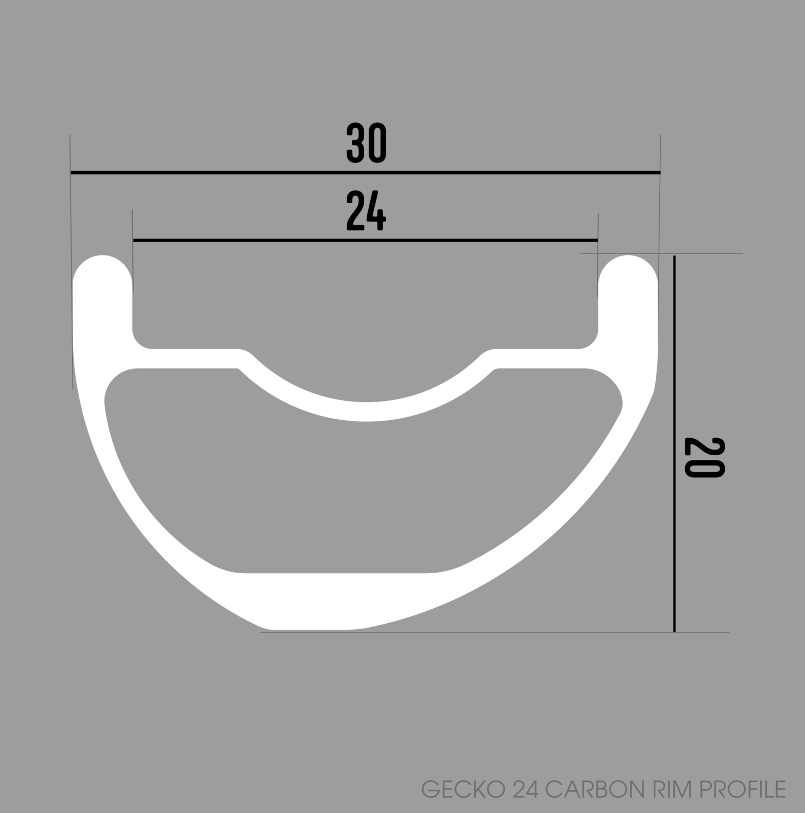 Gecko carbon wheels - Just Riding Along